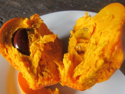 Fruits on the farm: what are canistel (eggfruit or yellow sapote) - The ...