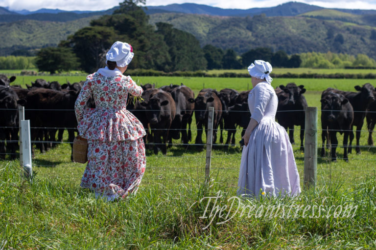 Georgian Frolics in the Country - The Dreamstress